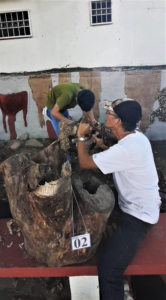 Dukit Festival - Punto! Central Luzon