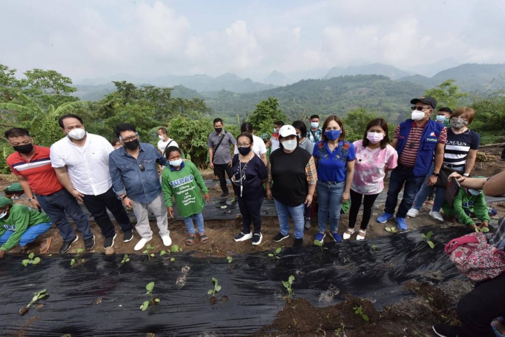 Vegetable farming launched in Pampanga upland areas - Punto! Central Luzon
