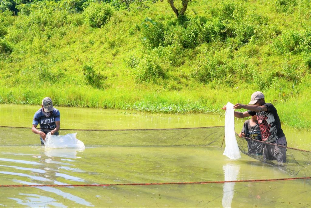 BFAR provides livelihood inputs to Tarlac farmers - Punto! Central Luzon