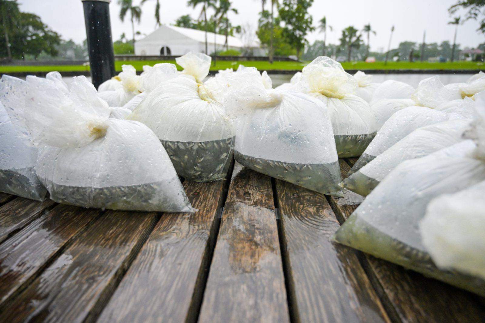 Lakeshore celebrates 21 years, welcomes SquidPay as newest partner ...