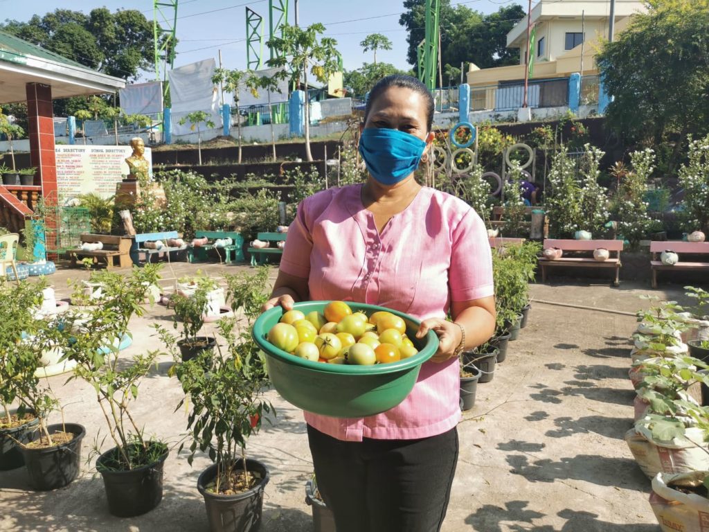 DepEd CL strengthens Gulayan sa Barangay Program - Punto! Central Luzon