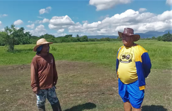 Farmers want higher subsidy, free solar-fed water pumps , Punto ...