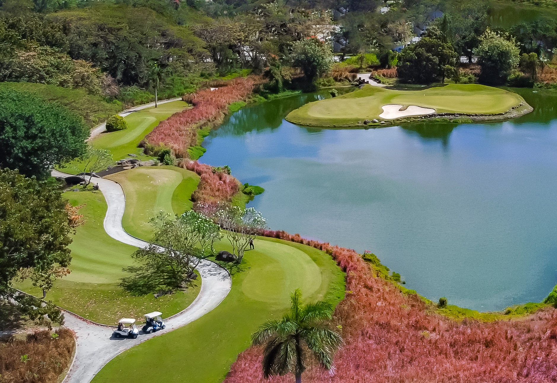 Quest Plus celebrates its 7th year with amazing deals - Punto! Central ...