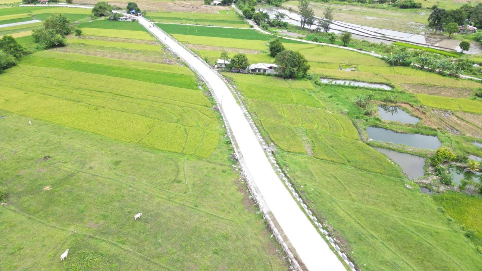 Bridging the Gap: Paving concrete hopes for Tarlac farmers - Punto ...