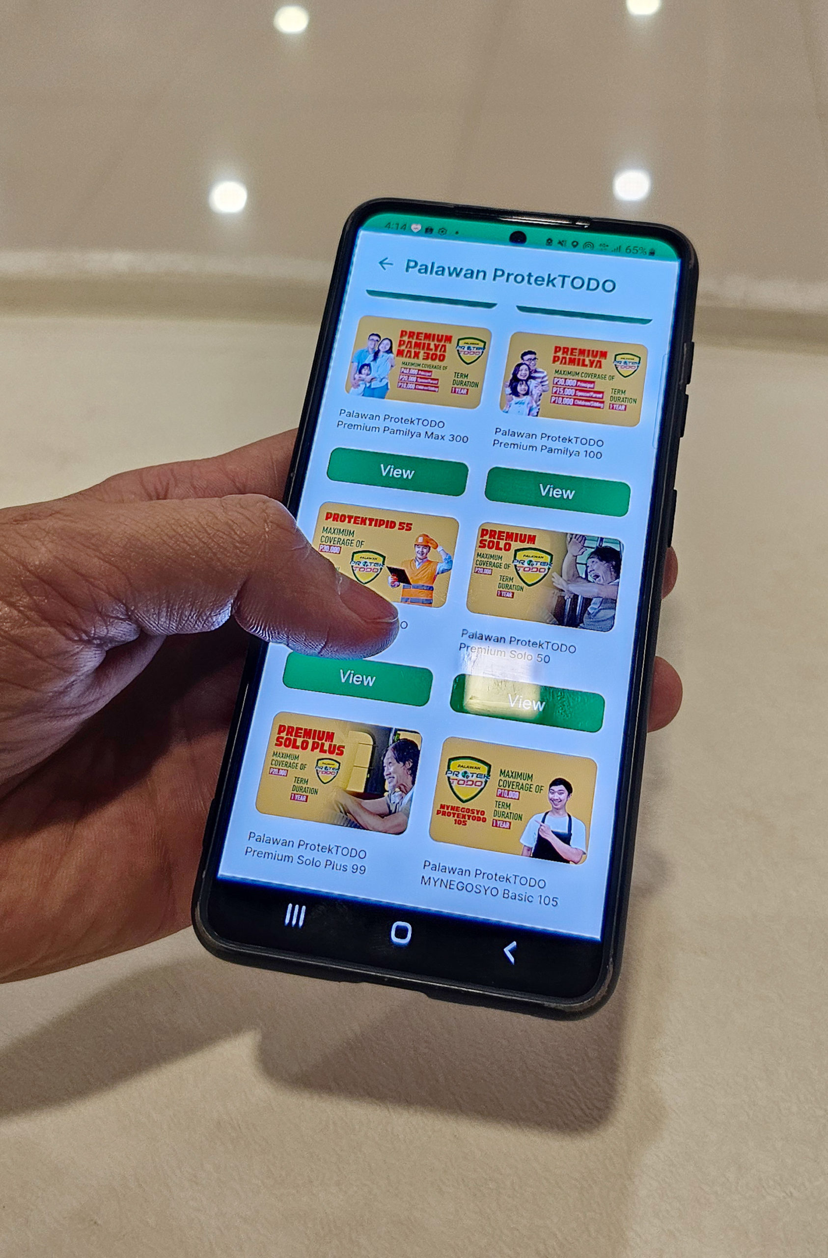 Palawan ProtekTODO: Protecting Filipino Families with Affordable ...