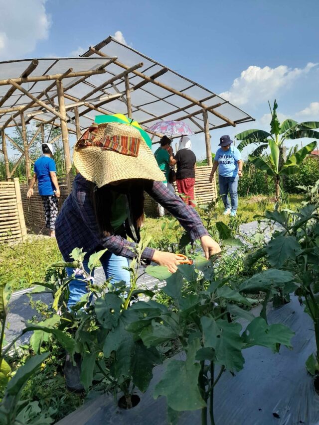 Epson, WWF-Philippines complete food shed project in Tarlac - Punto ...