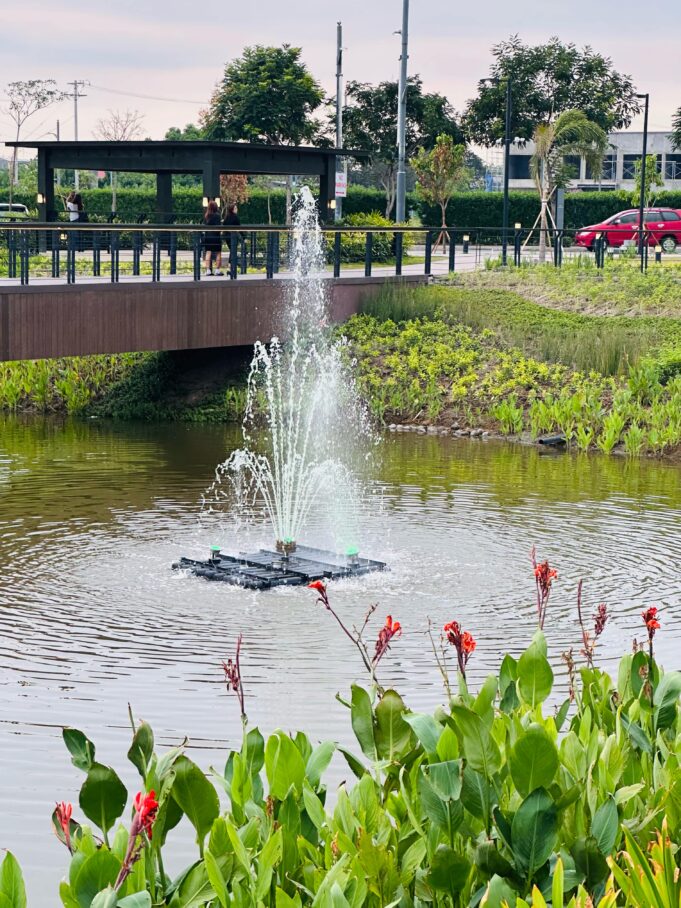 NEW RAINWATER PARK OF SAN FERNANDO’S CAPITAL TOWN SEEN TO HELP BOOST ...